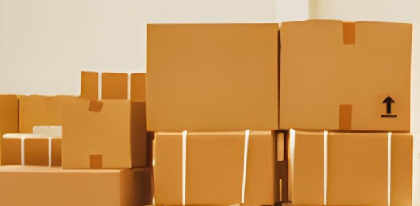 Push the Box Speech Recognition